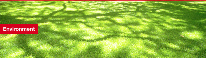 Environment - Hakuto Singapore Pte Ltd Environment - Hakuto Singapore Pte Ltd